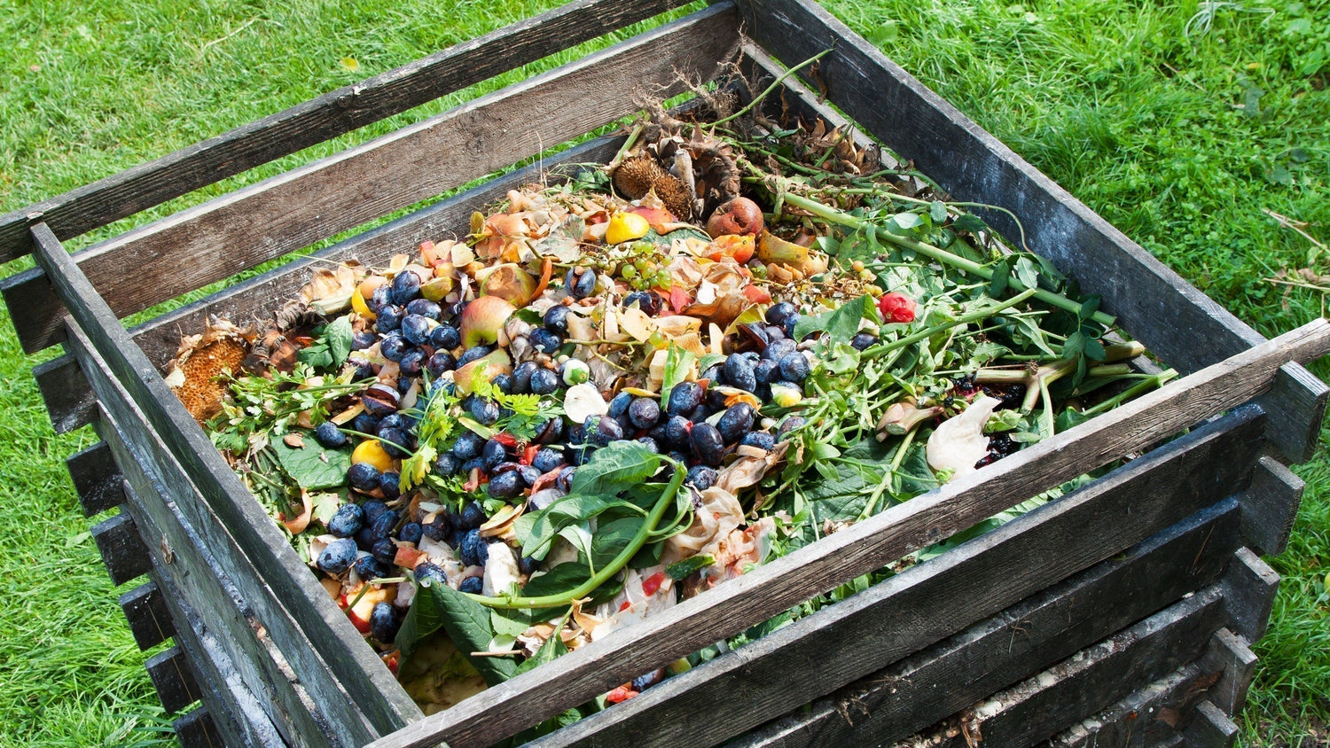 Composting Helps Your Soil & Your Soul