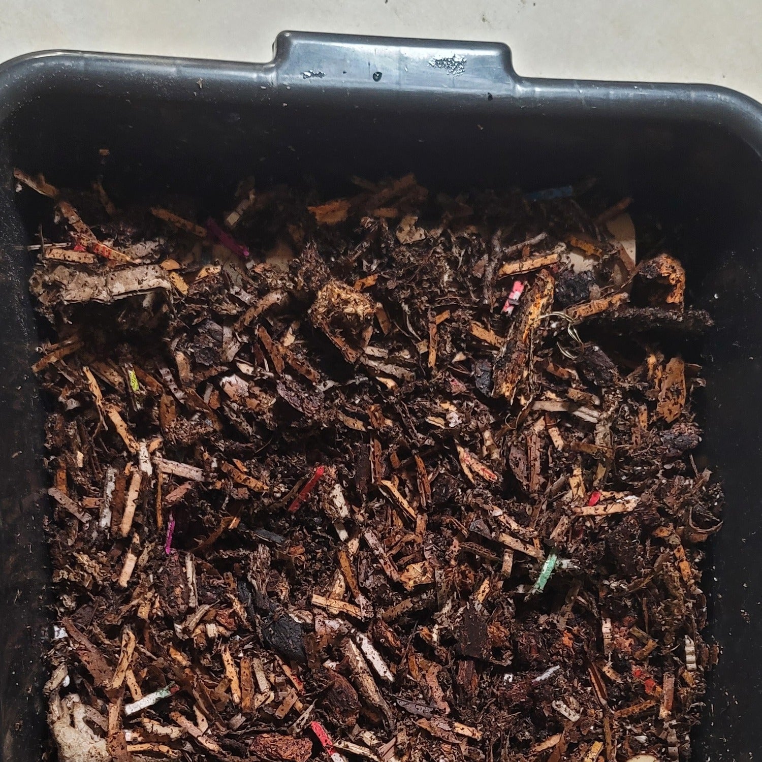 Worm Bin Set Up Guide